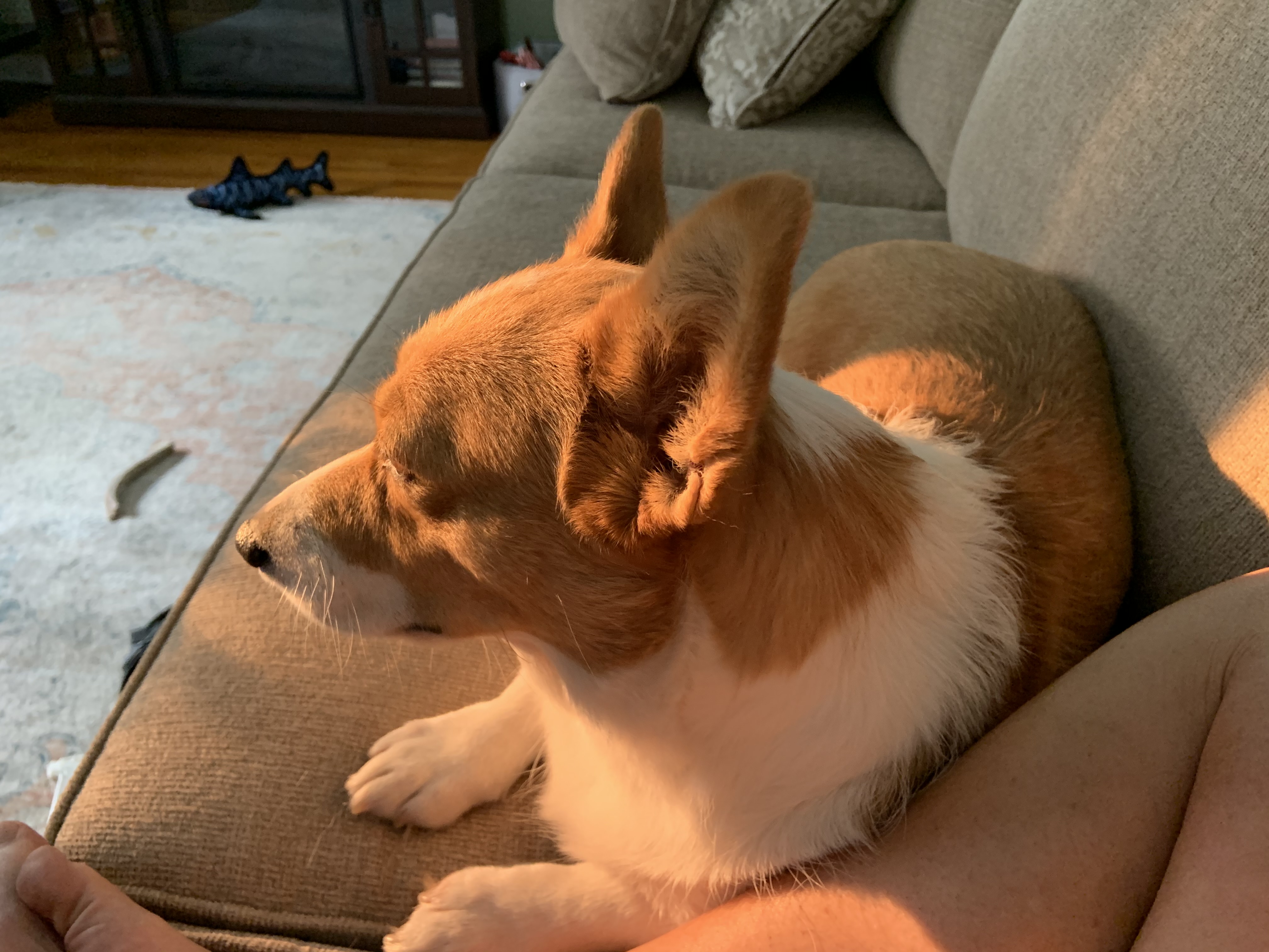 “There’s nothing you can do that can’t be done…” ~ John Lennon/Paul ...